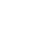 SCP-173 - SCP: Secret Laboratory English Official Wiki