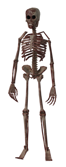 SCP-3114 - SCP: Secret Laboratory English Official Wiki