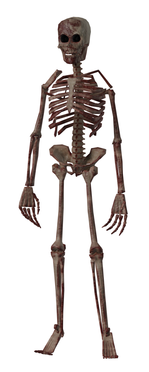 SCP-3114 - SCP: Secret Laboratory English Official Wiki