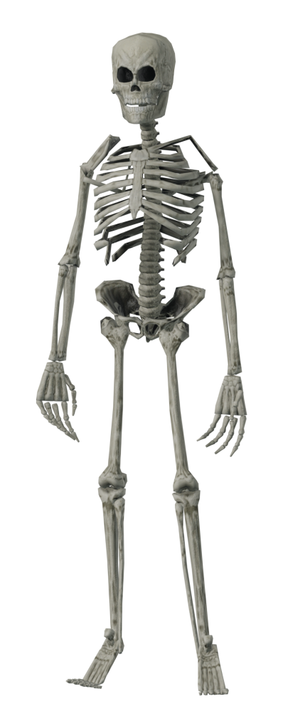 SCP-3114 - SCP: Secret Laboratory English Official Wiki