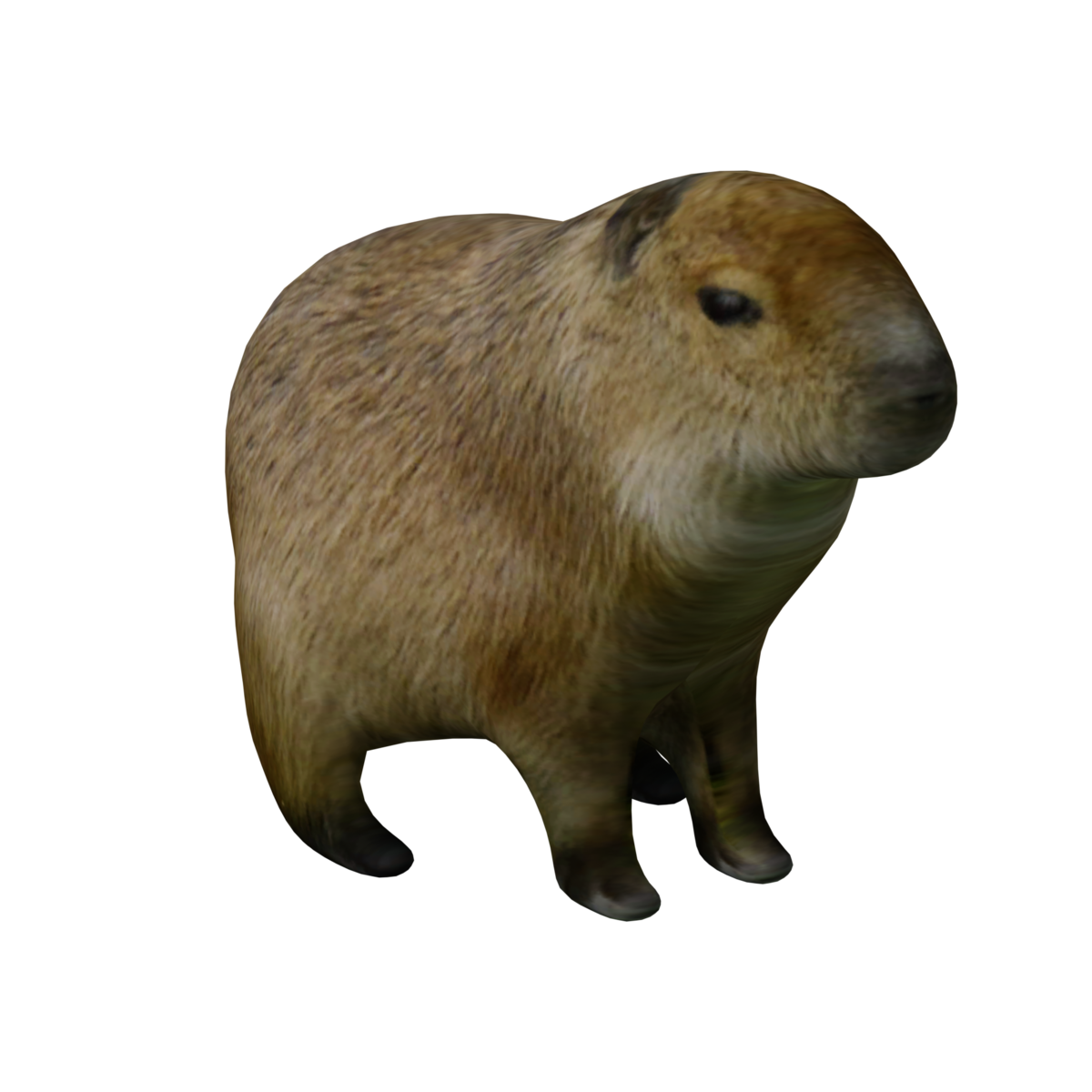 File:Capybara956.png - SCP: Secret Laboratory Hub Wiki